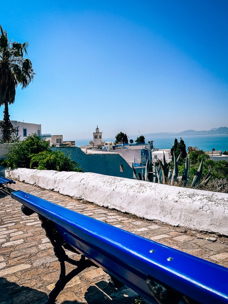 5 must-see places in Sidi Bou Said that will leave you in awe! - Simply ...