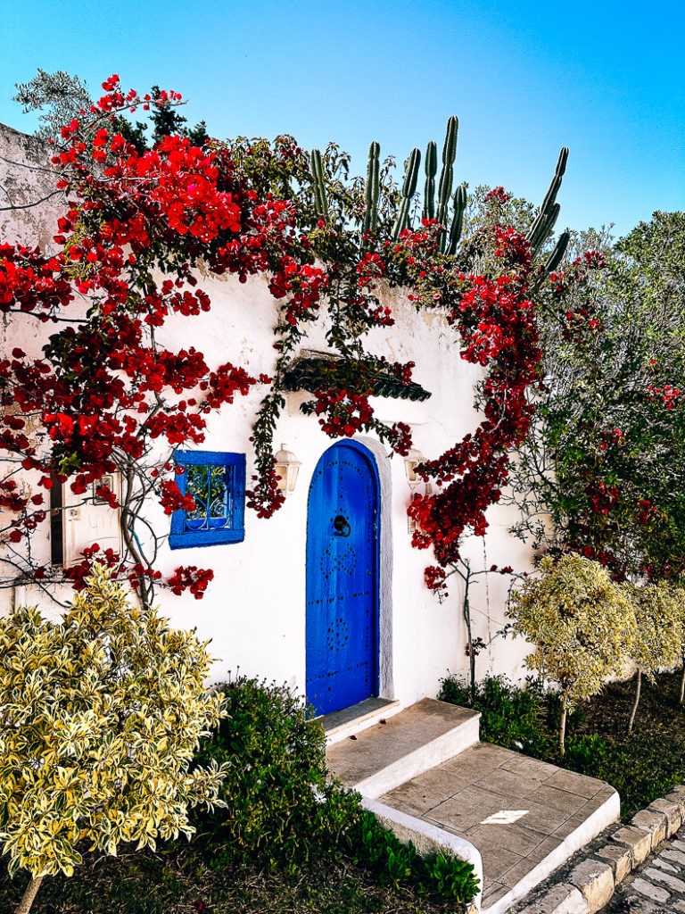 5 must-see places in Sidi Bou Said that will leave you in awe! - Simply ...